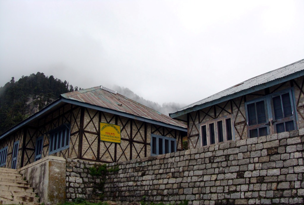 Ecotourism Society of Himachal Pradesh | Triund